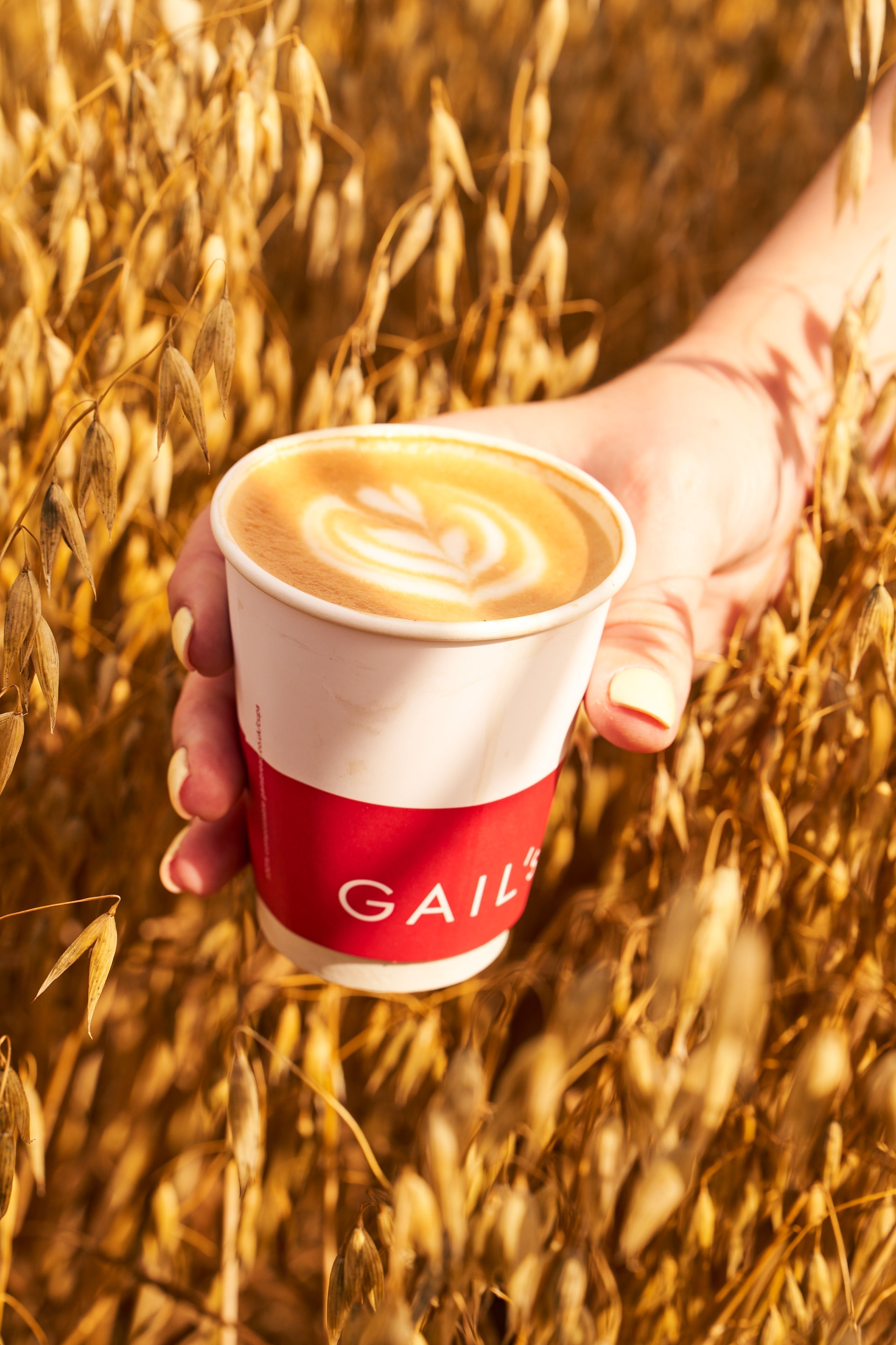 The Story Behind Our Partnership with GAIL's. – MOMA Foods
