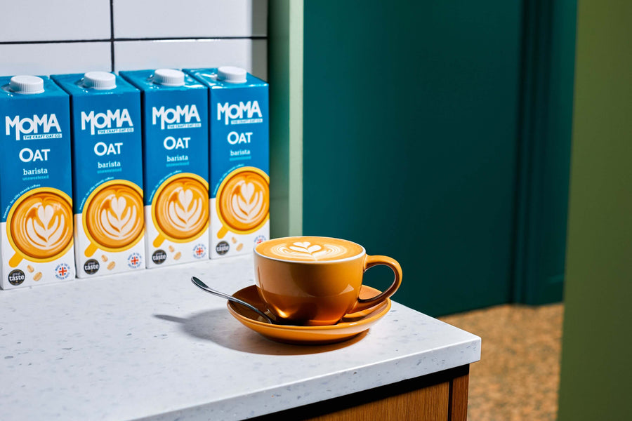 Iced Coffee Cans | Gluten-free and Vegan | MOMA Foods